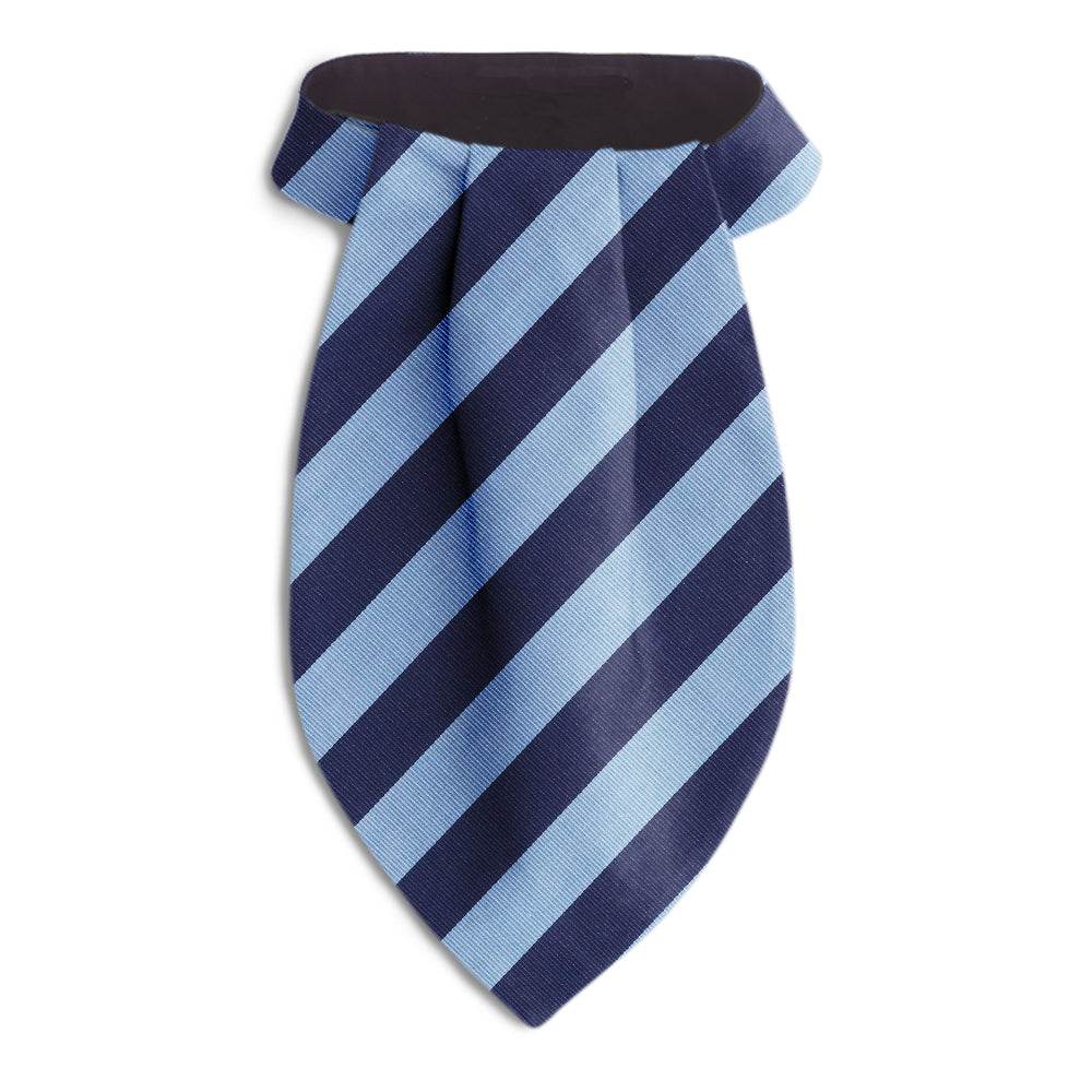 Academy Navy/Blue Ascots by Beau Ties of Vermont