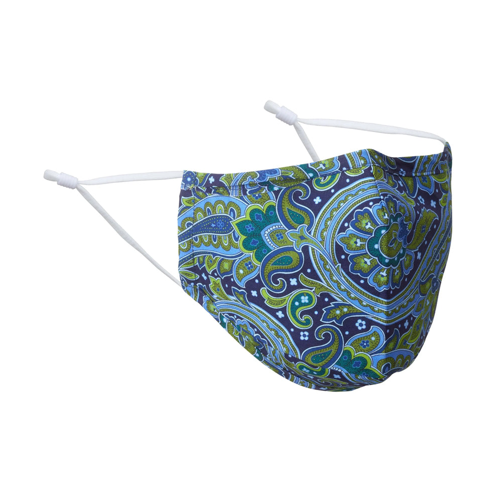 Barshaw Blue Face Mask – Beau Ties of Vermont