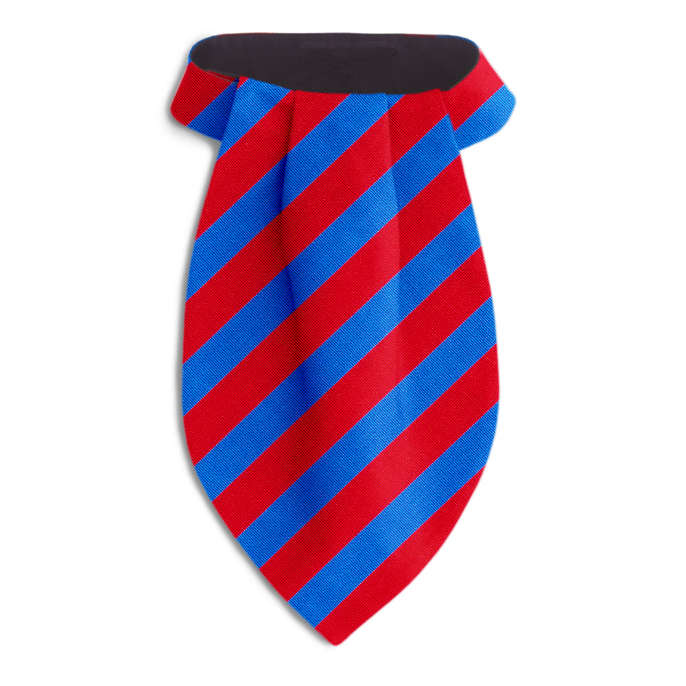 Collegiate Royal and Red - Ascots – Beau Ties of Vermont