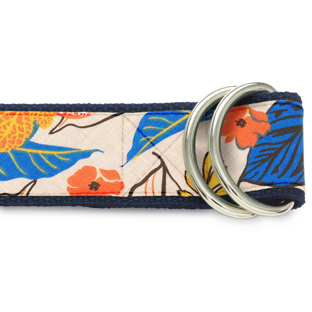Daintree Women's D-Ring Belts by Beau Ties of Vermont