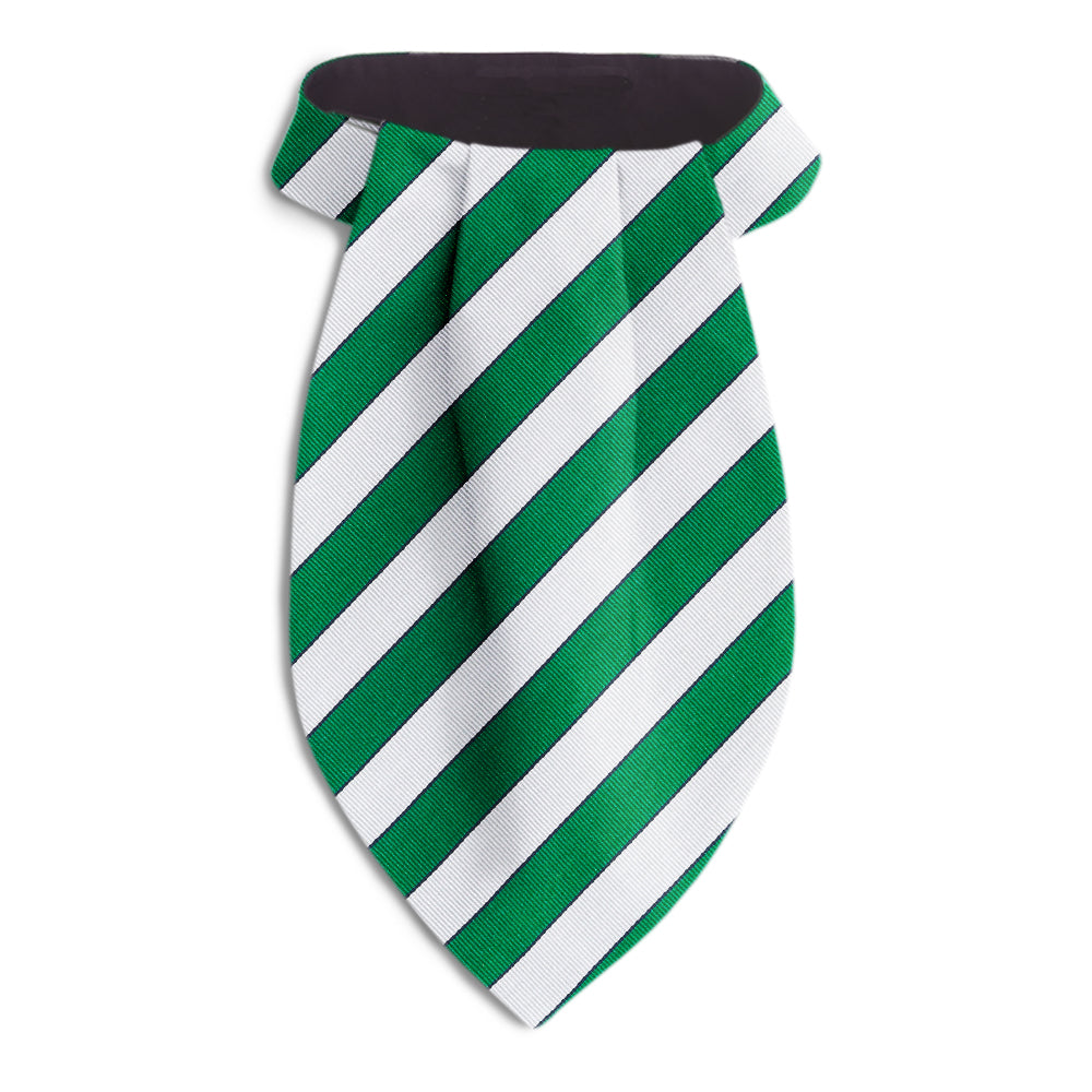 Scholastic Green/White Ascots by Beau Ties of Vermont