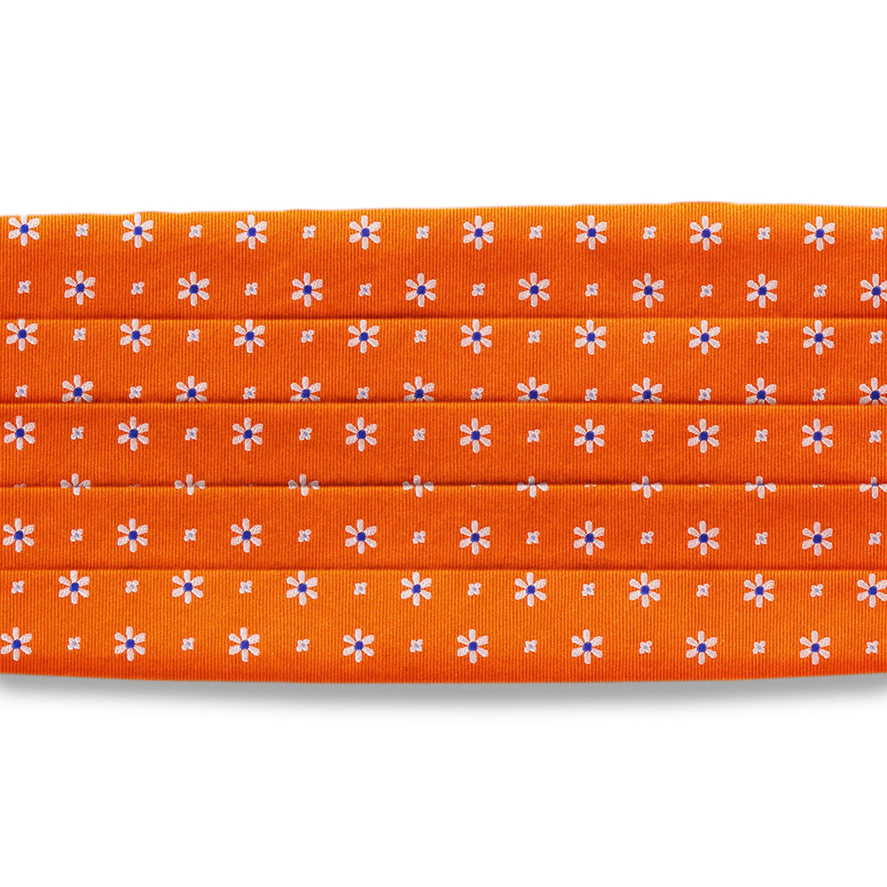 Daisy Springs Orange - Cummerbunds – Beau Ties of Vermont