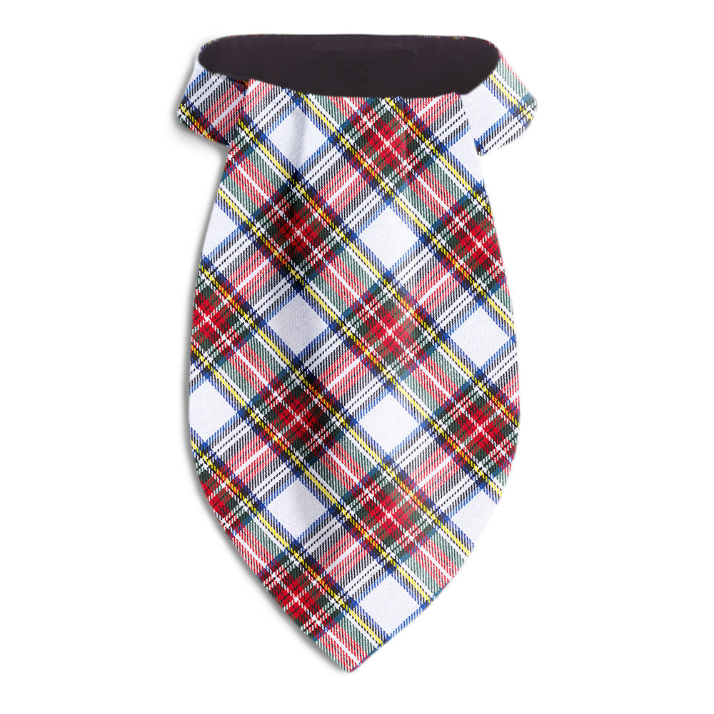 Galloway Ascots by Beau Ties of Vermont